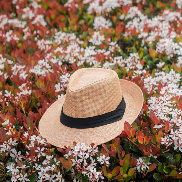 Jeanne Simmons | Toyo Large Brim Fedora | Hats Unlimited